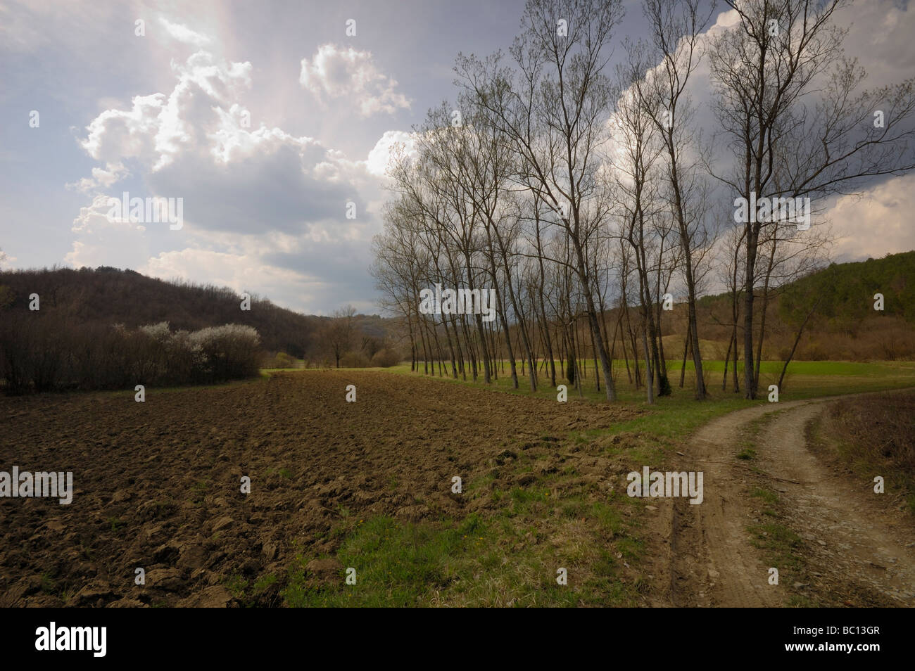 Cultivable fields hi-res stock photography and images - Alamy