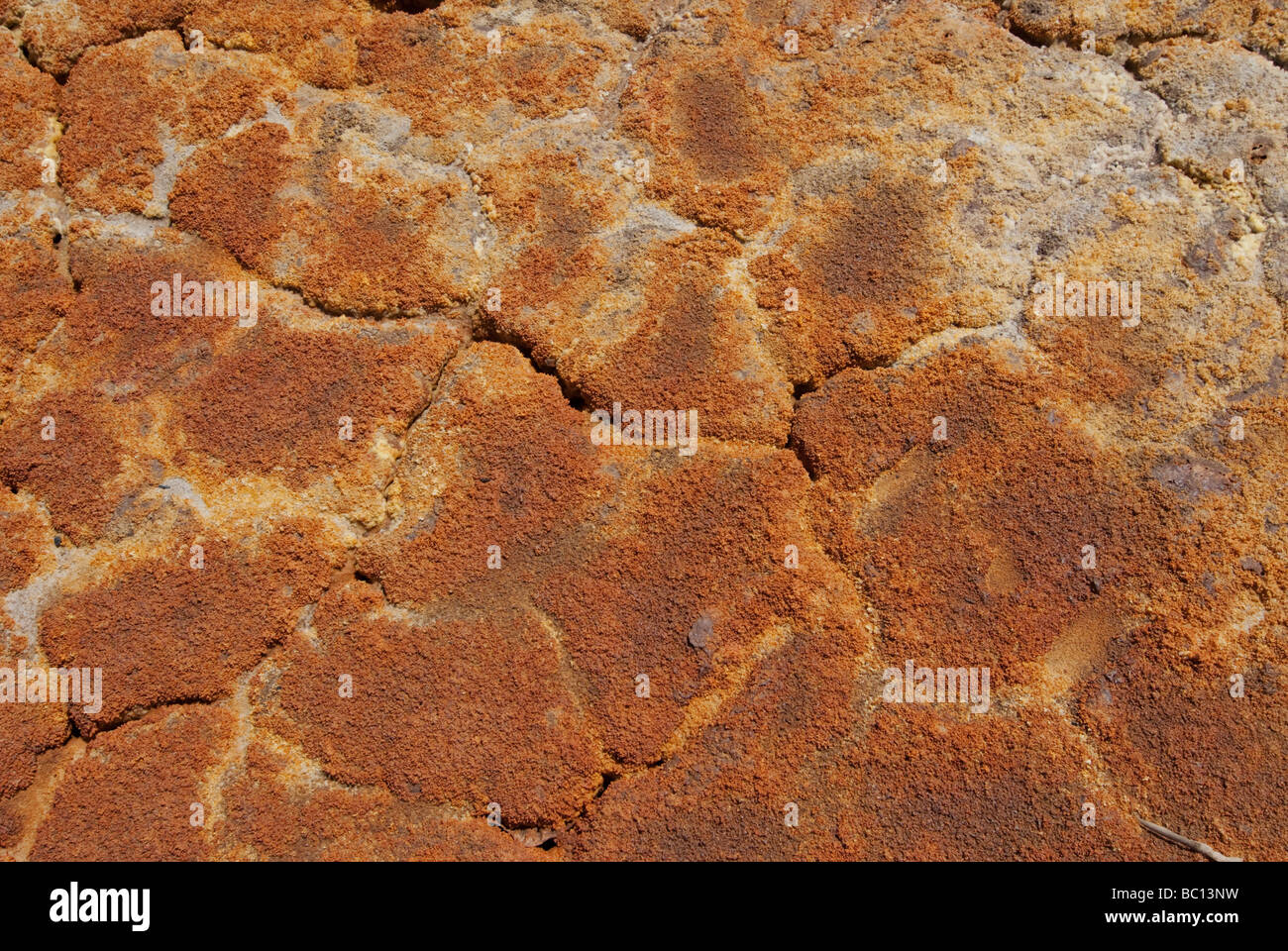 Acid soil hi-res stock photography and images - Alamy