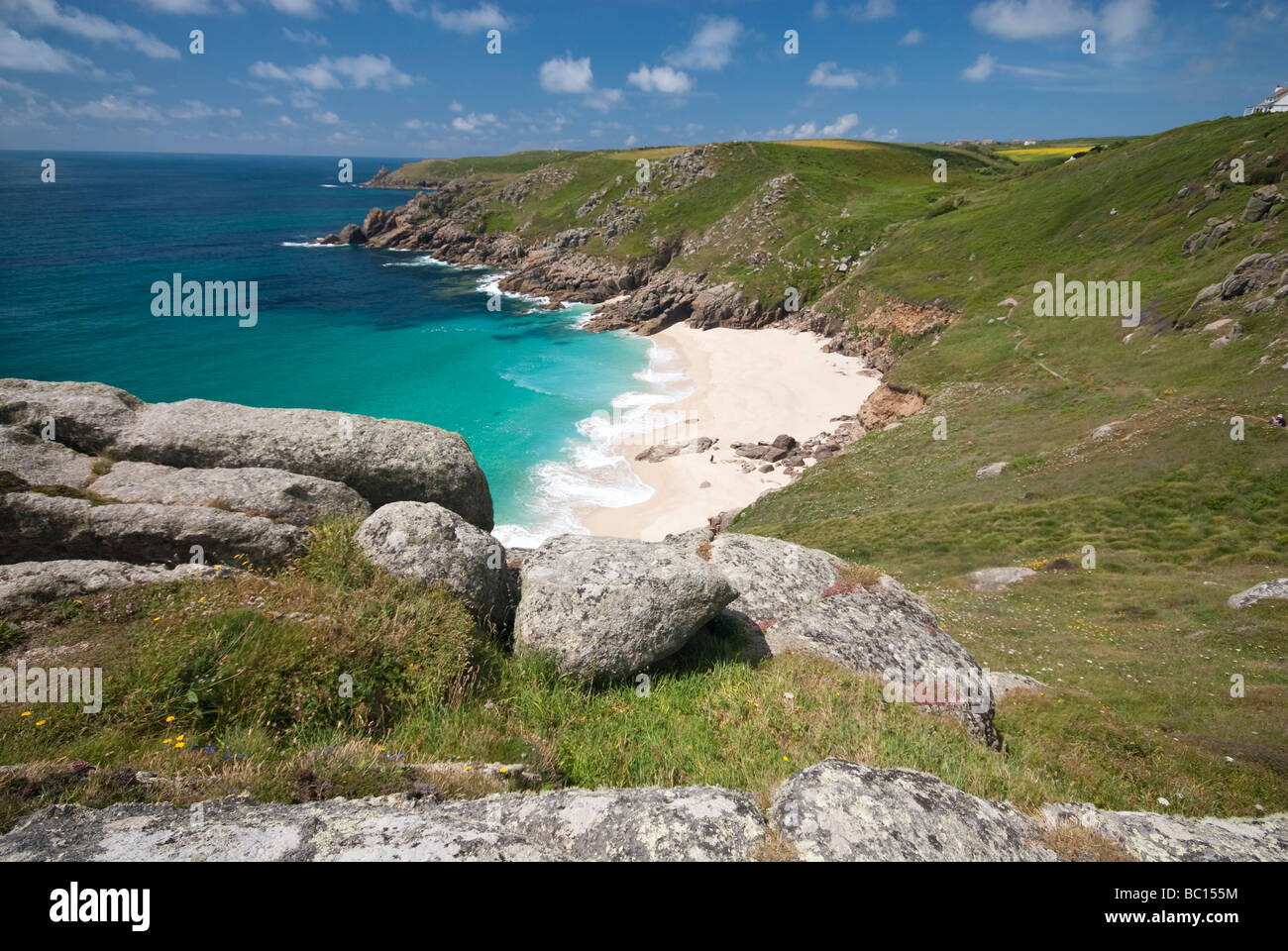 Cornwall beach flowers hi-res stock photography and images - Alamy