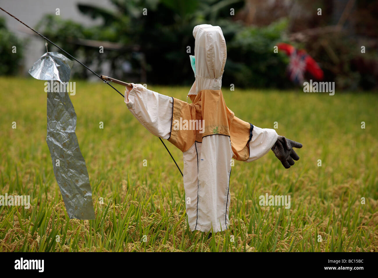 Scarecrow stands in race filed Stock Photo - Alamy