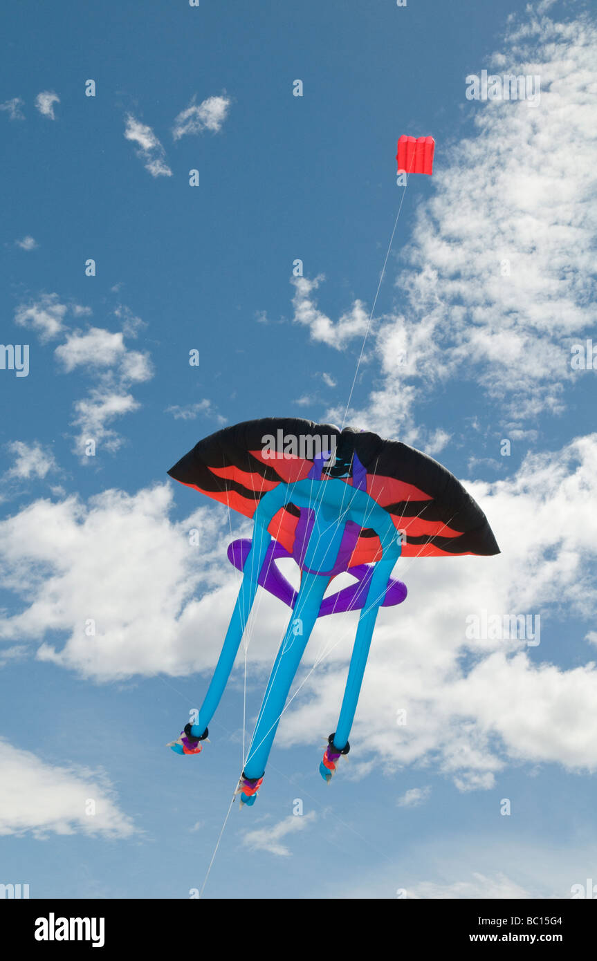 Giant ray ? kite Stock Photo - Alamy