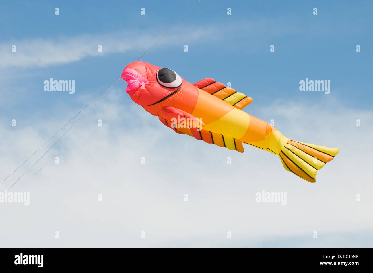 Giant fish hi-res stock photography and images - Alamy