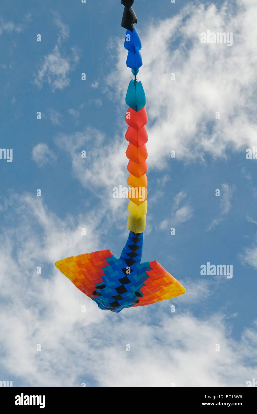 Giant manta ray kite Stock Photo - Alamy