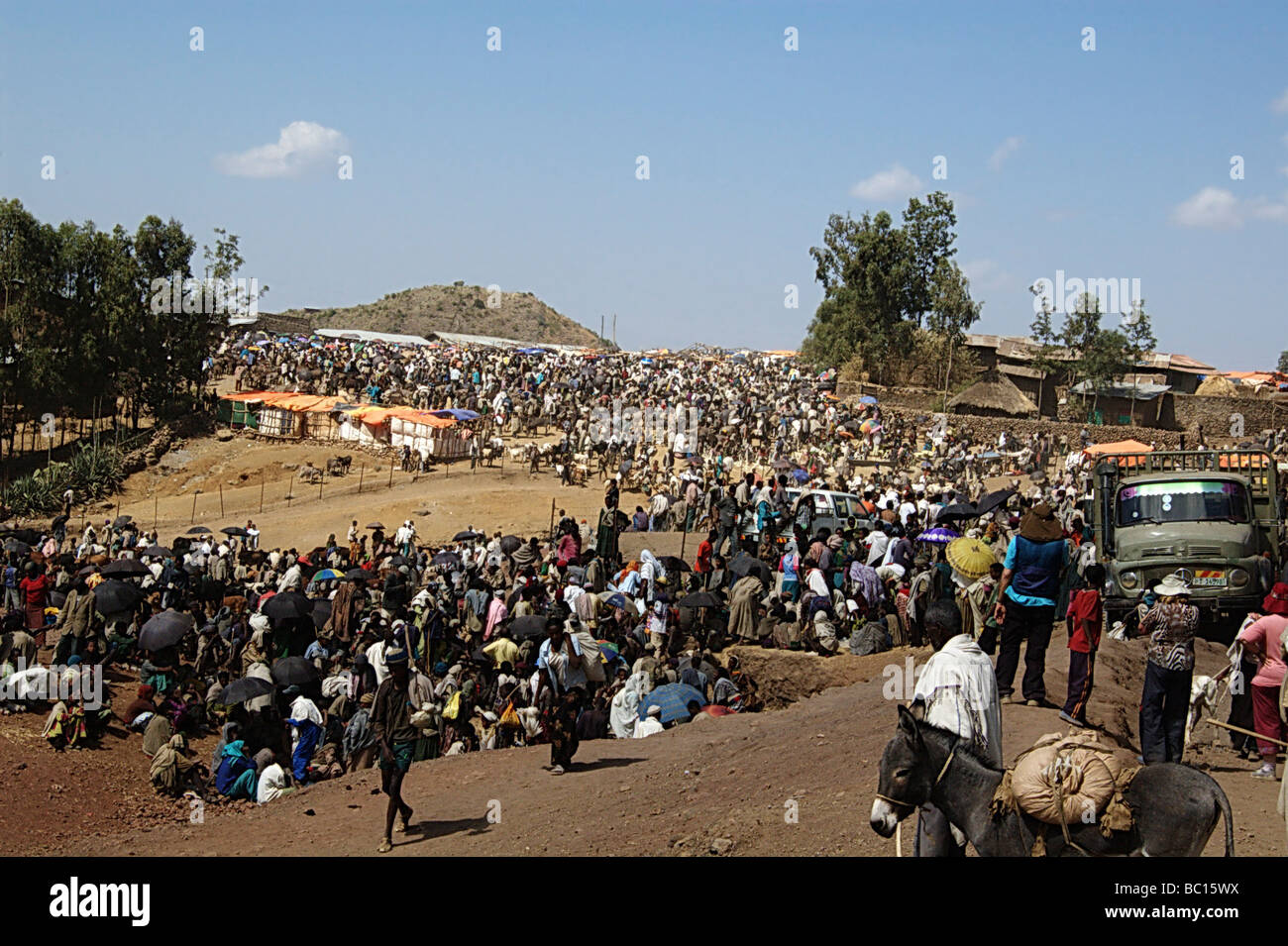 Northern Africa People
