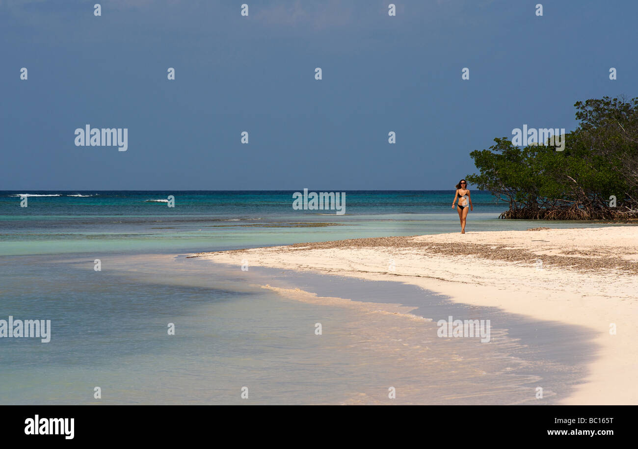 Holidaymaker on the beach at Cyo Jutias, Cuba. White sand and mangroves ...