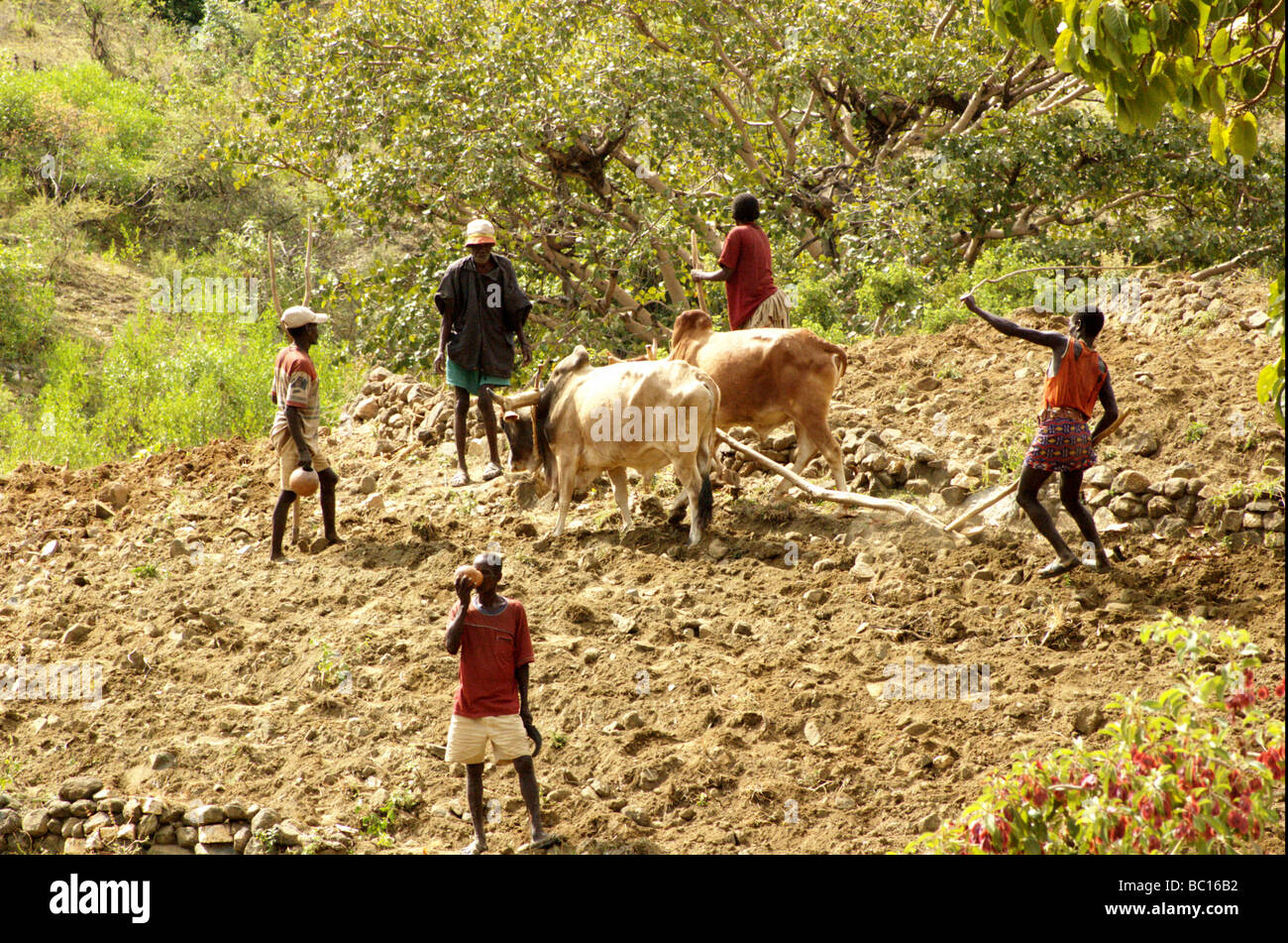 Tribal people farming hi-res stock photography and images - Alamy