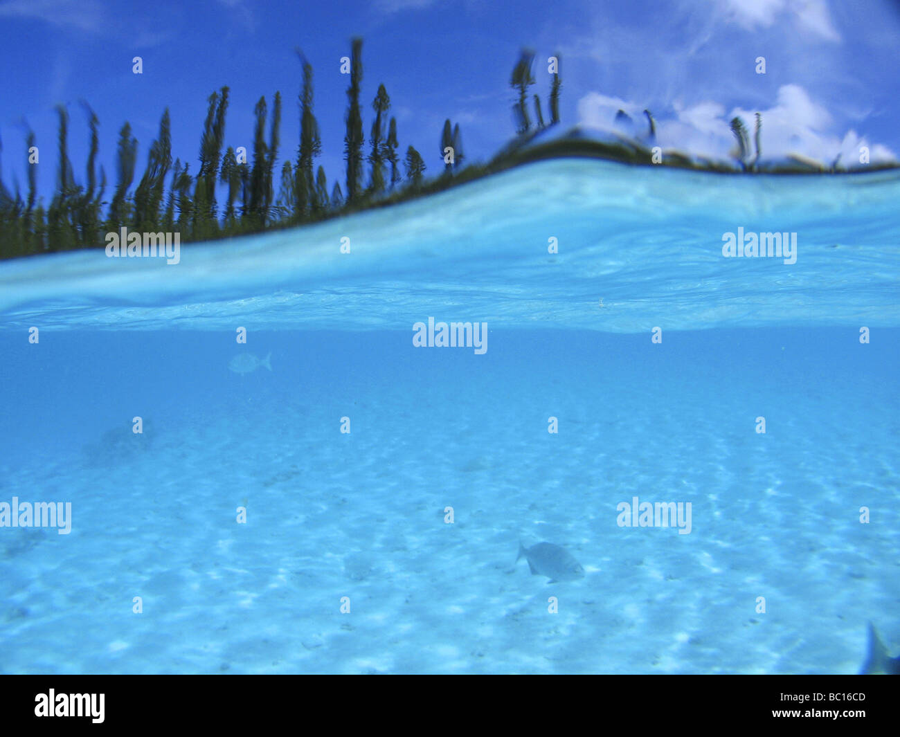 Natural swimming pool oro bay hi-res stock photography and images - Alamy