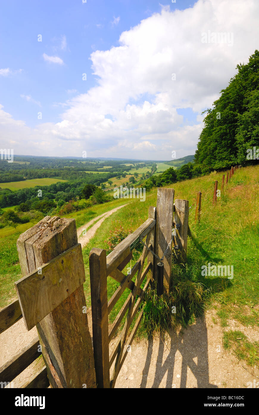 Walking the north downs hi-res stock photography and images - Alamy