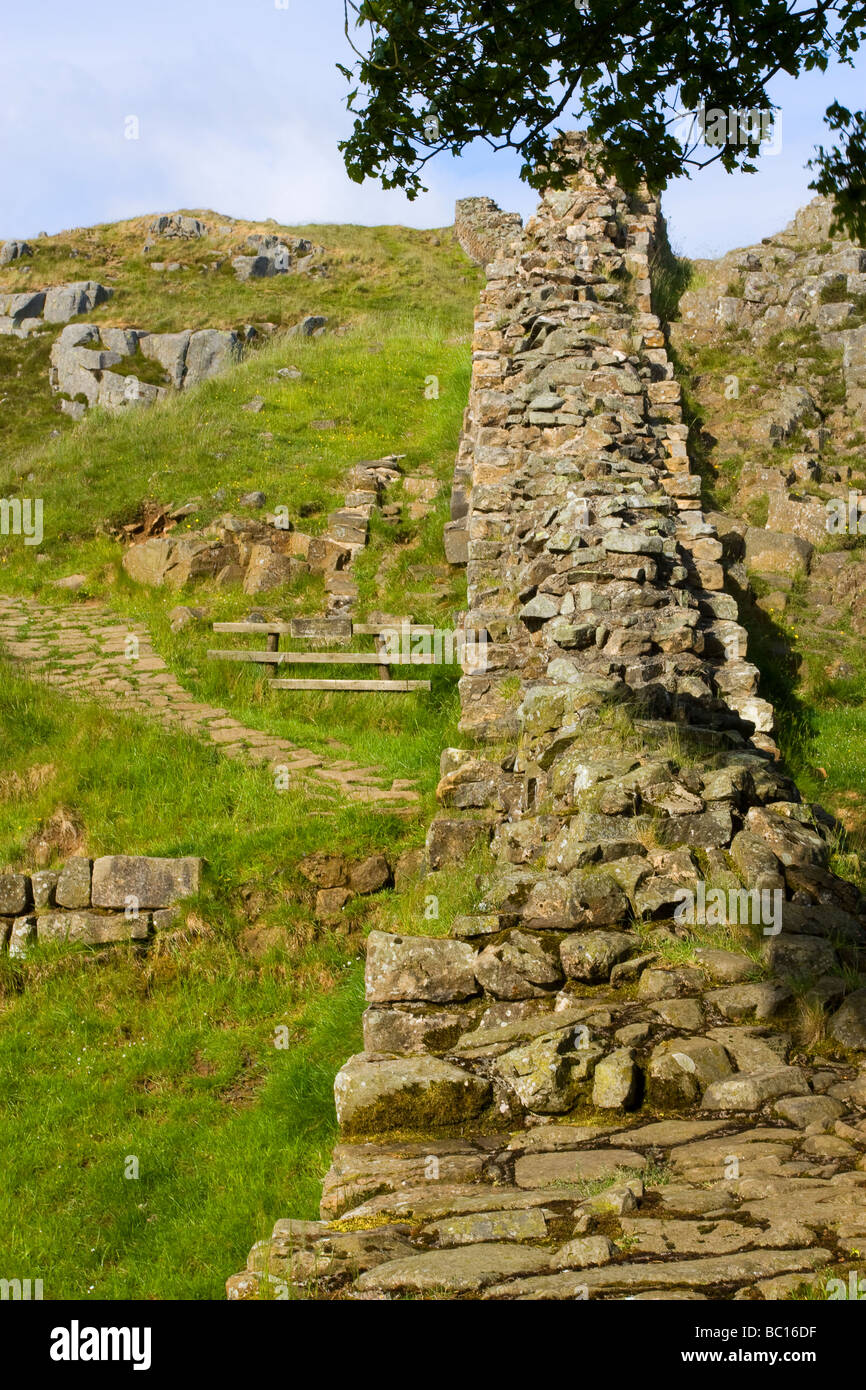 Wall detail at Sycamore Gap Hadrians Roman Wall. Also known as Kevins ...