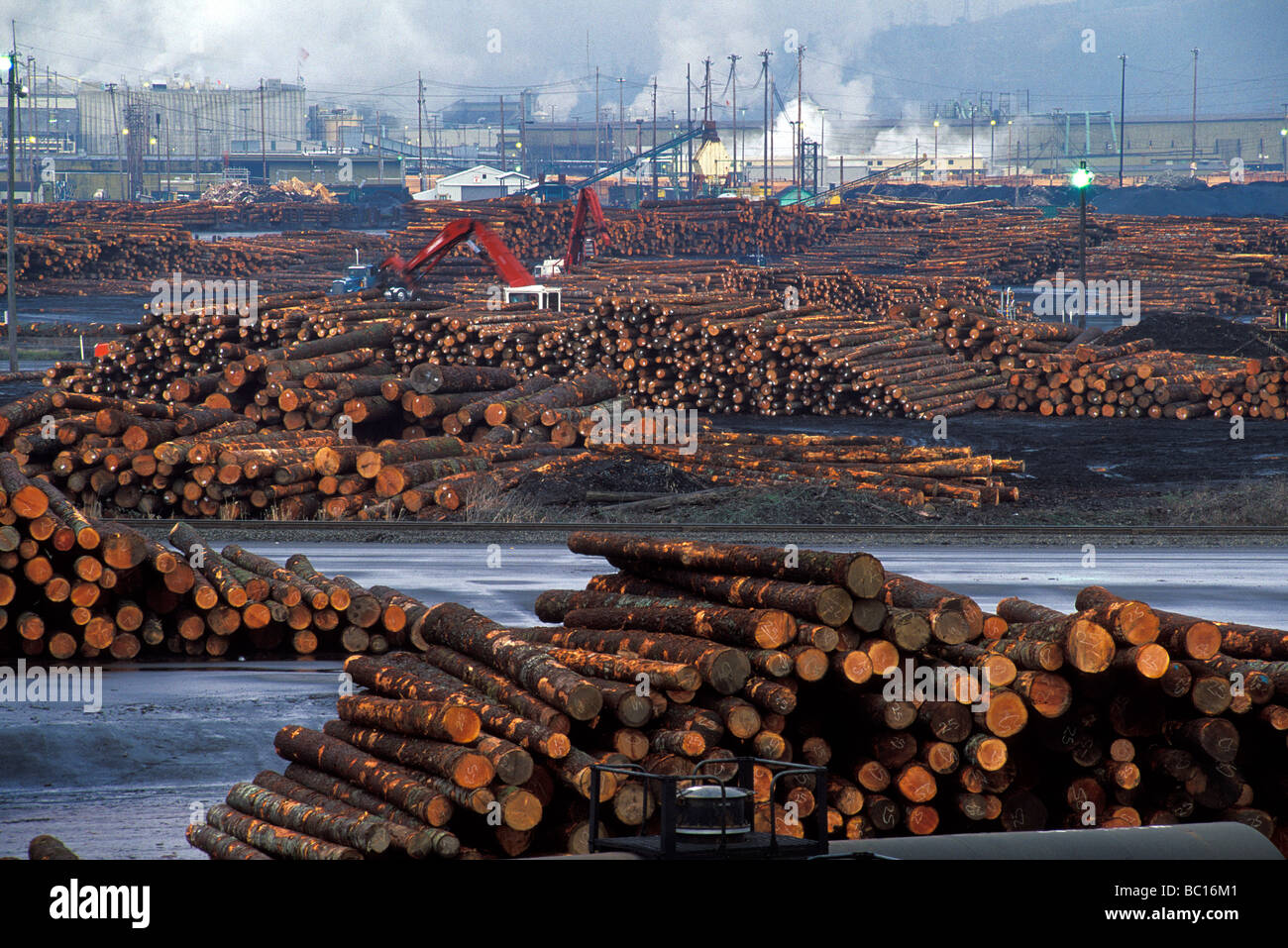 Log mill washington hi-res stock photography and images - Alamy