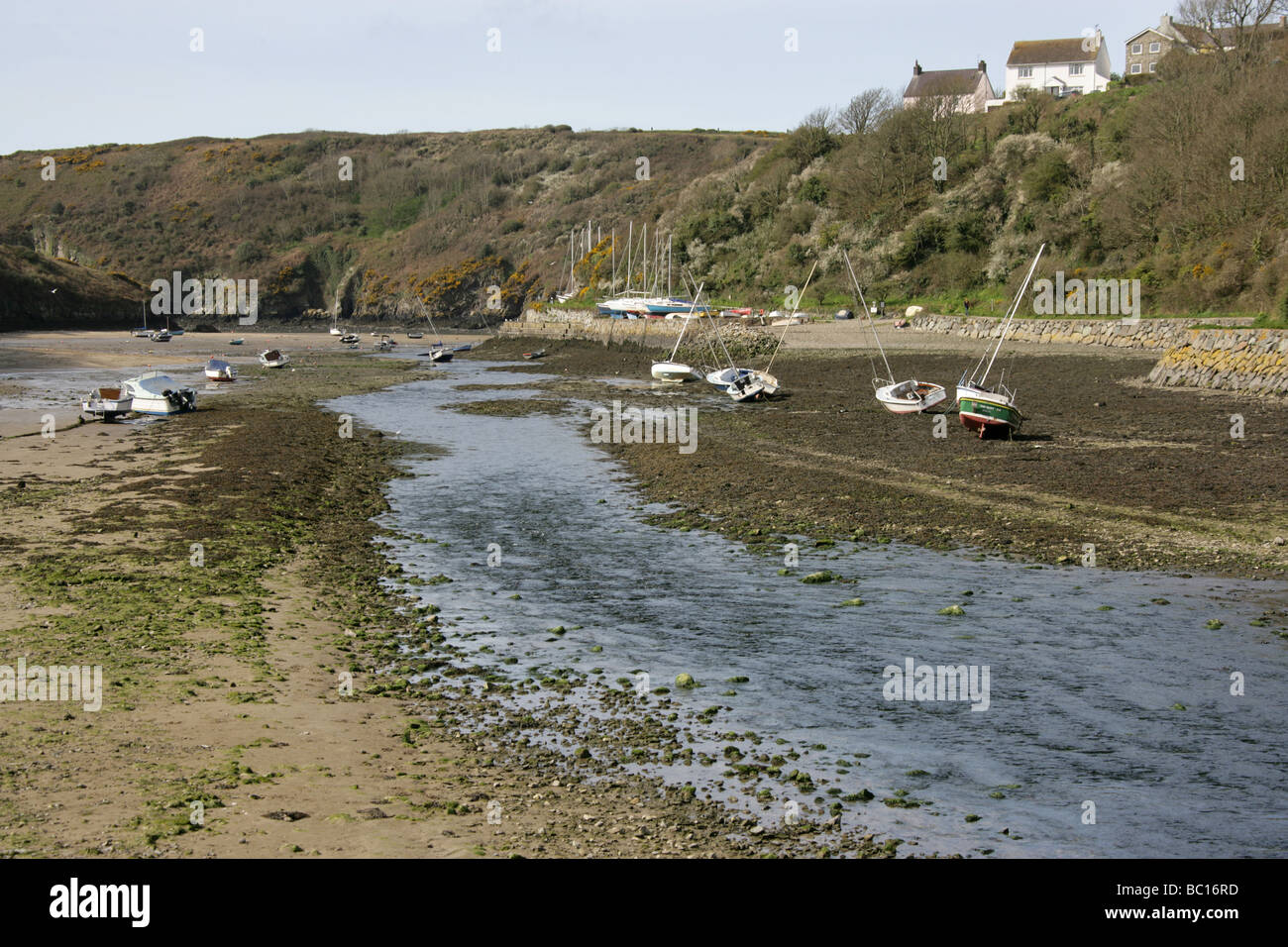 The village of Solva, Wales. The River Solva and harbour at low tide on ...