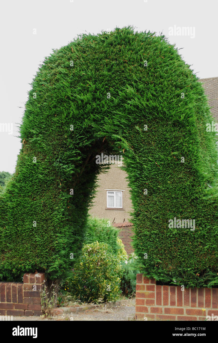 Arch hedge hi-res stock photography and images - Alamy
