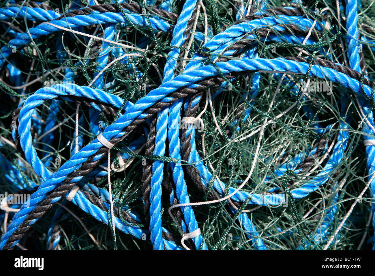 blue ropes of a fishing net Stock Photo - Alamy