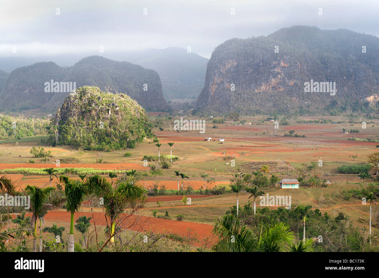 View across the landscpae of Viñales valley, Pinar del Rio Province ...