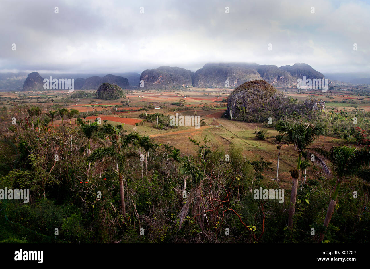 View across the landscpae of Viñales valley, Pinar del Rio Province ...