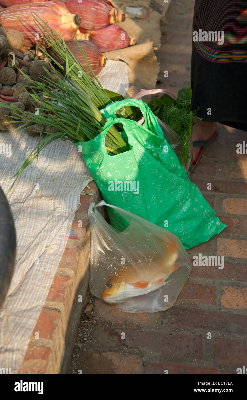 Live fish in bag hi-res stock photography and images - Alamy