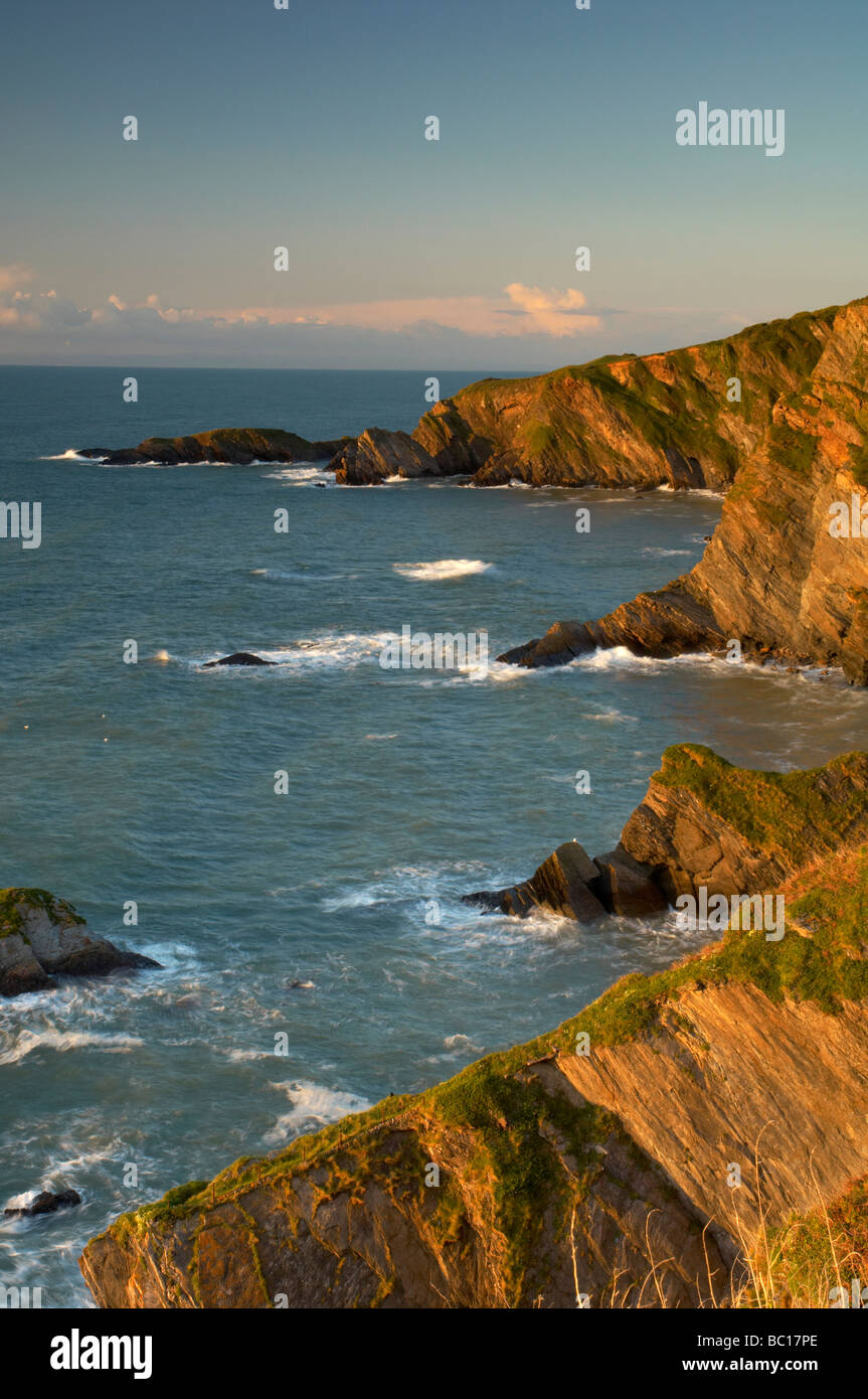 Evening light illuminates the cliffs at Hele Bay on the North Devon ...