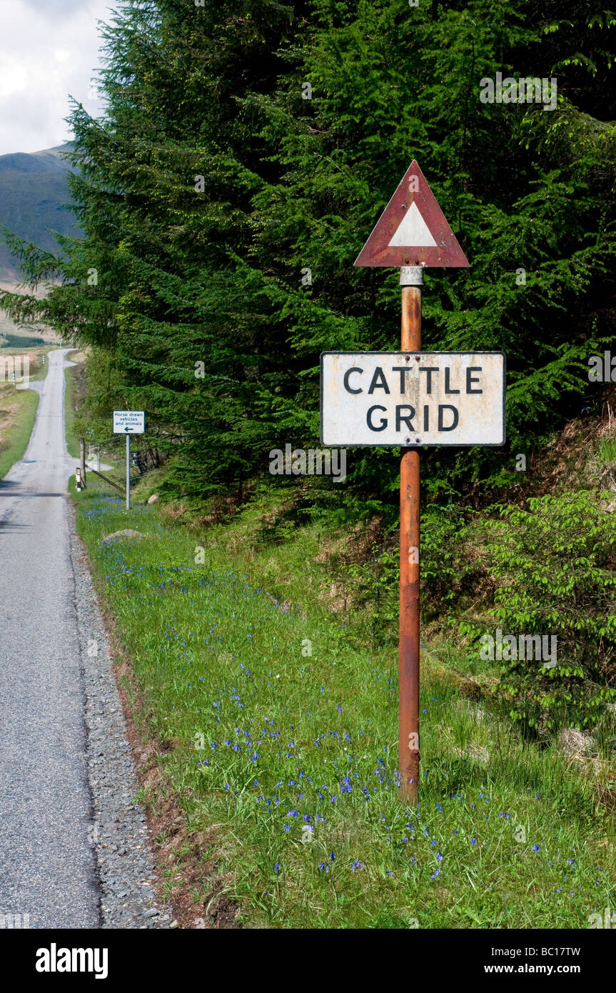 Cattle grid sign hi-res stock photography and images - Alamy