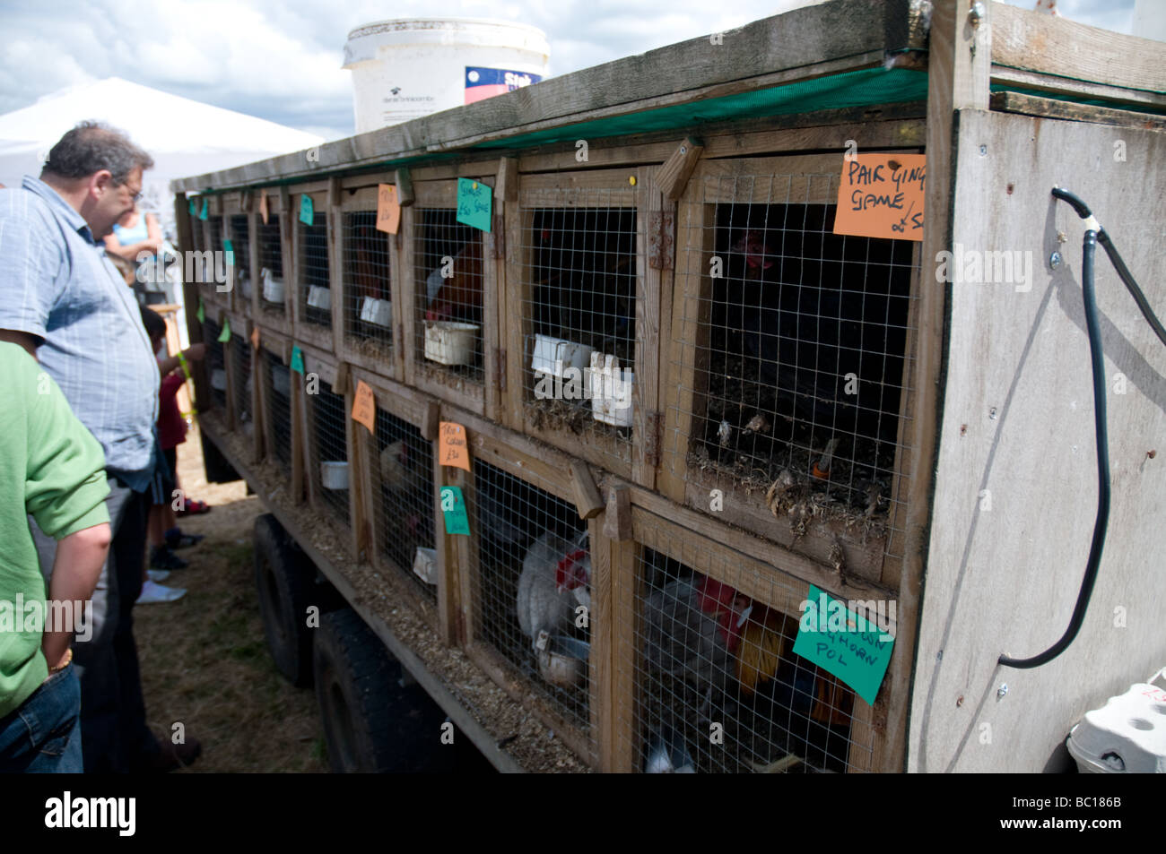 Poultry for sale at the Welsh Game Fair 2009 Stock Photo - Alamy