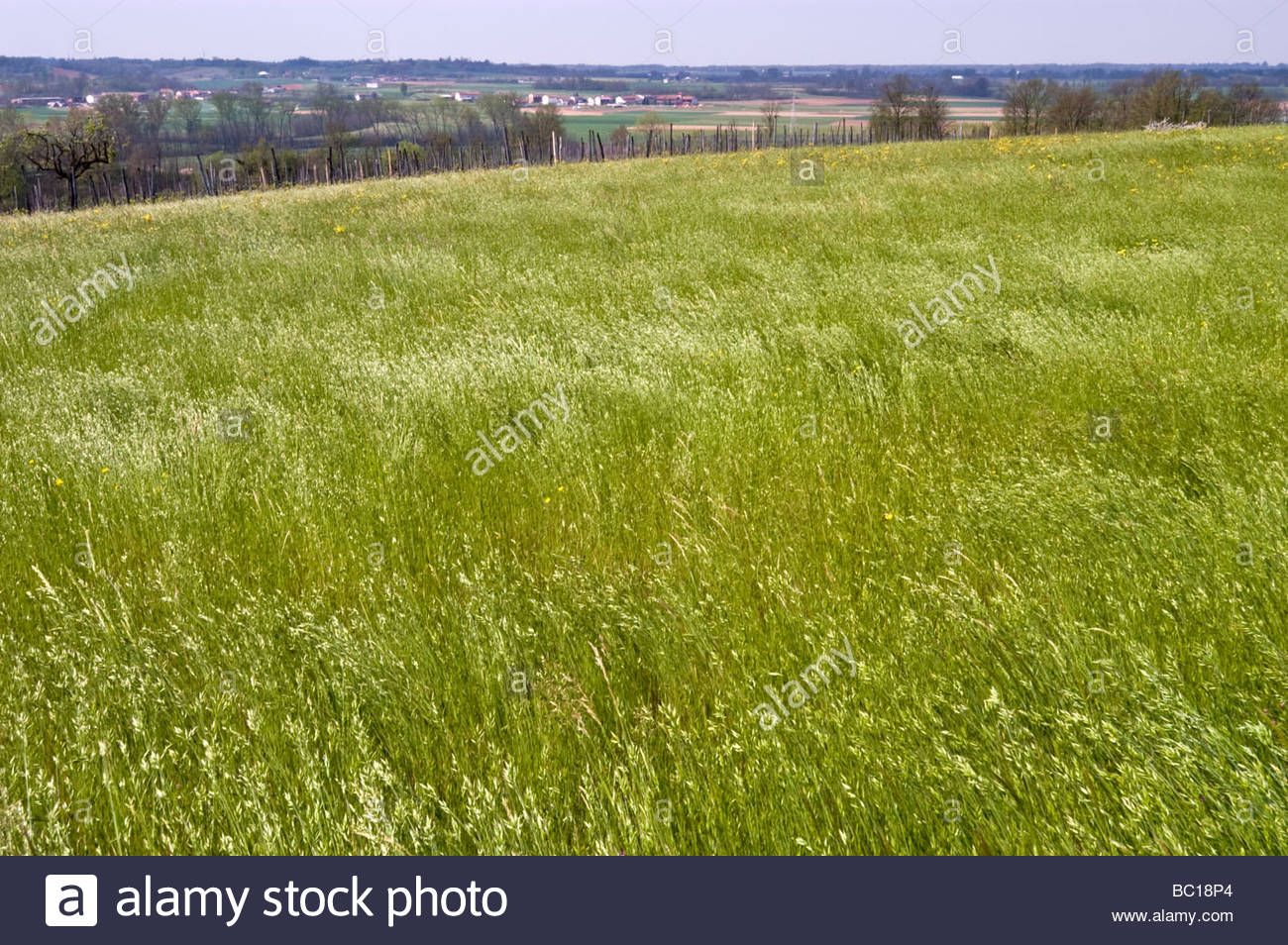 Padan Plain. Italy High Resolution Stock Photography and Images - Alamy