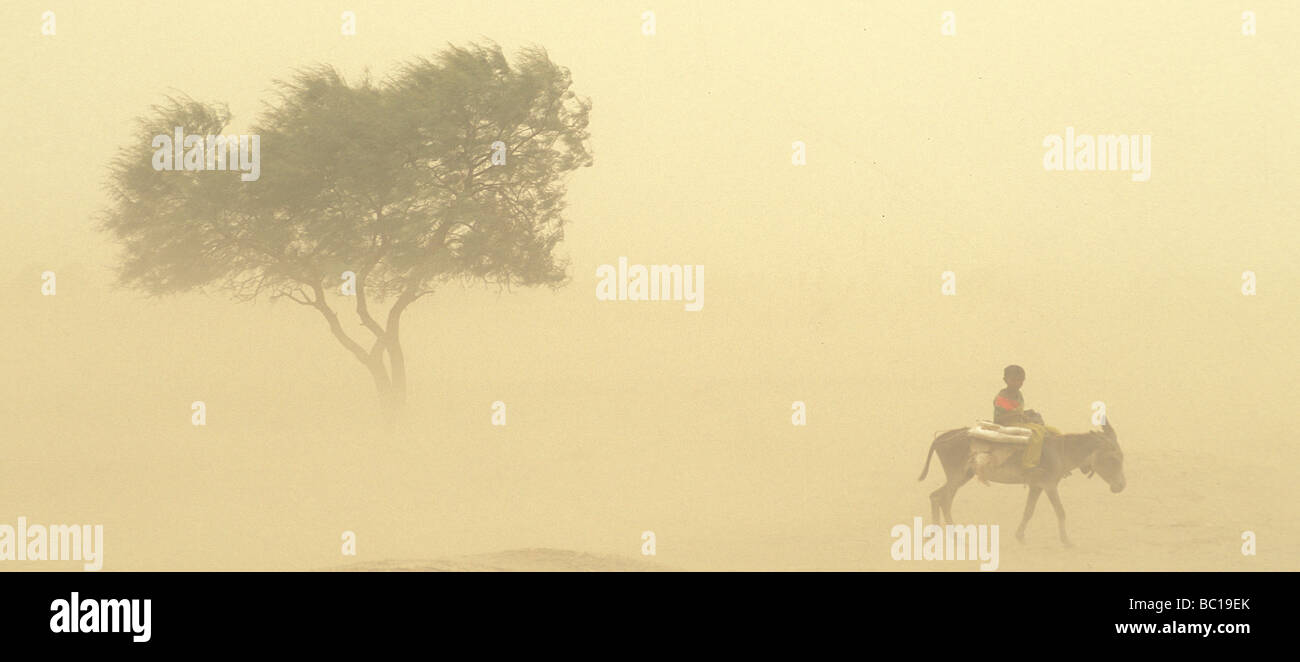 Yemen, Al Hudaydah Governorate, region de Tihama, sandstorm Stock Photo ...