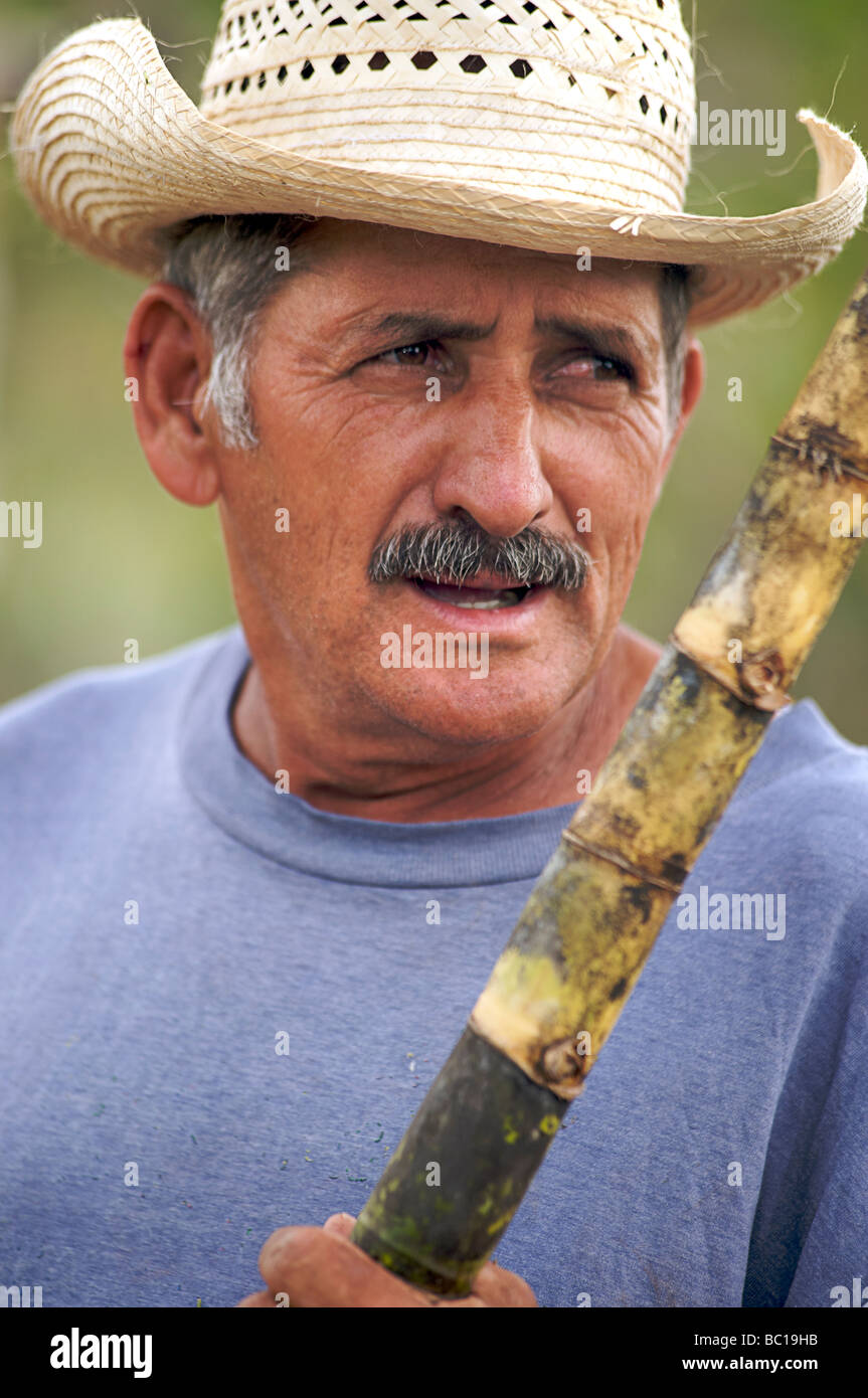 Cuban campesino with sugar cane. Viñales, Cuba Stock Photo - Alamy