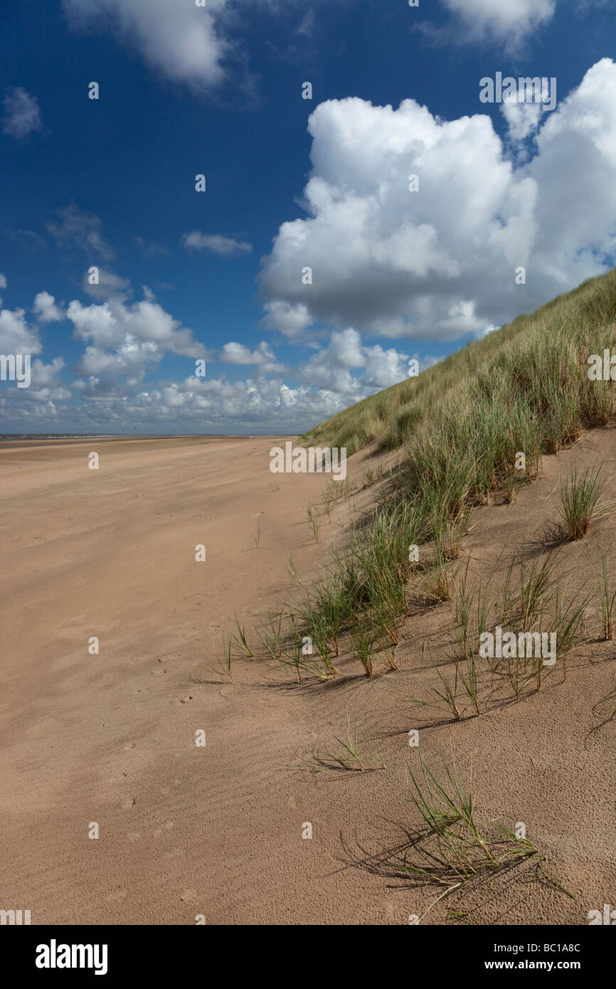 Strandline shoreline coast hi-res stock photography and images - Alamy
