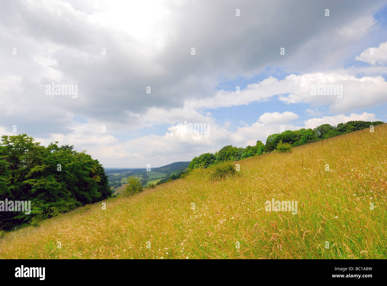 Pilgrims way north downs hi-res stock photography and images - Alamy