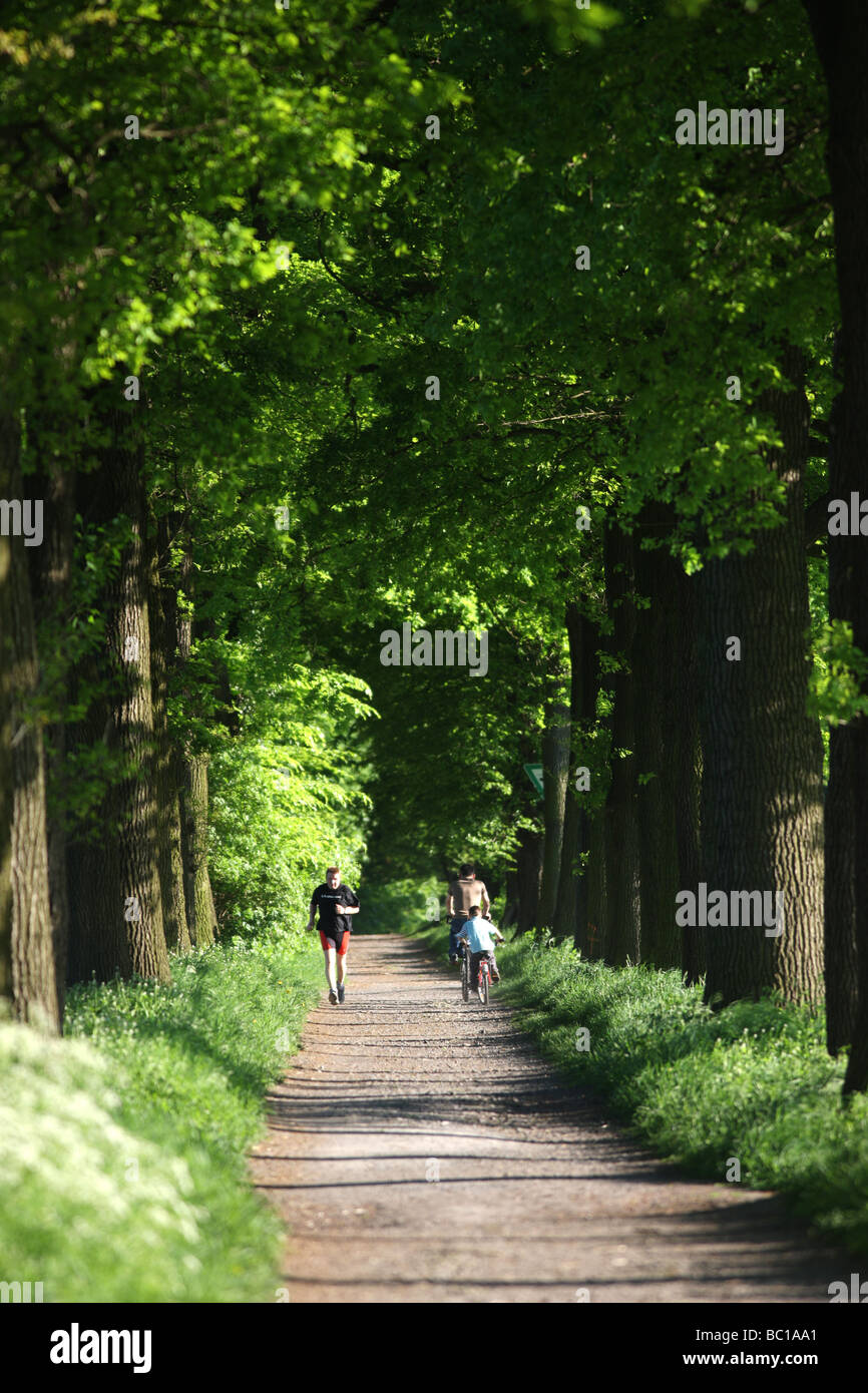Forest path, Dorsten, Germany Stock Photo - Alamy
