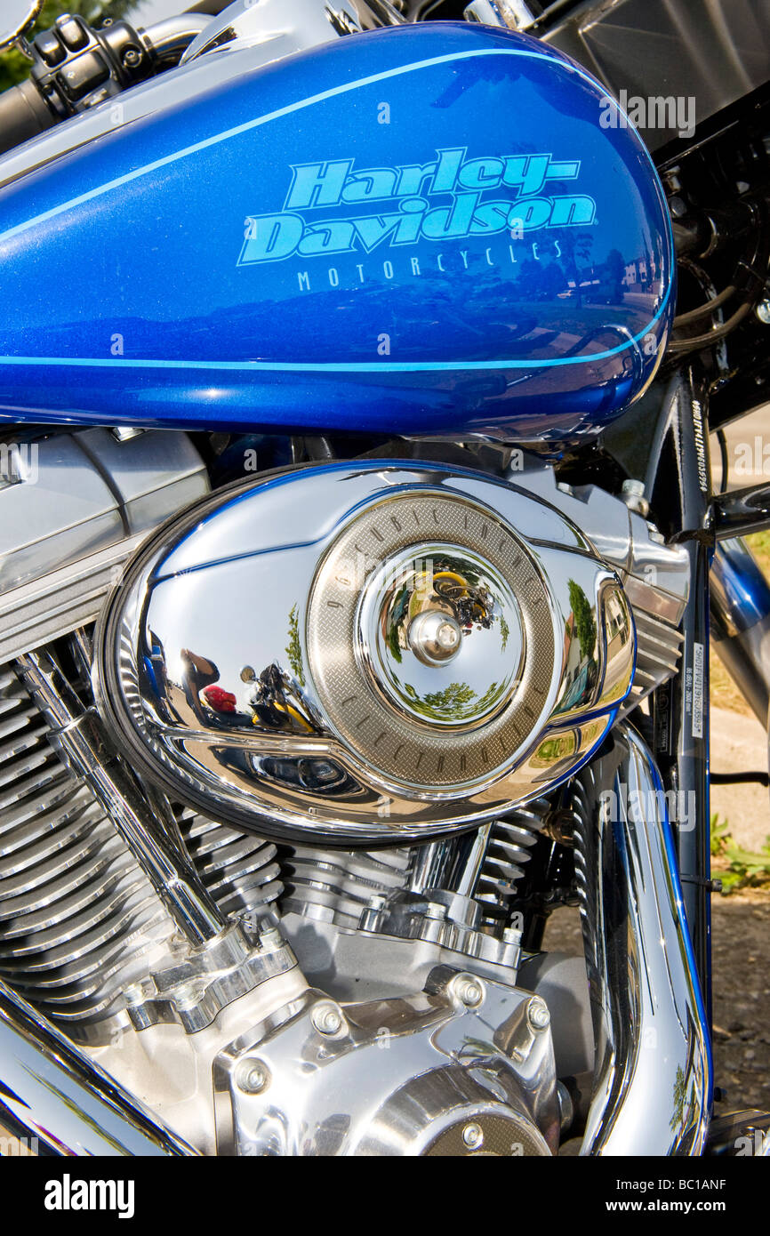 Harley boy hi-res stock photography and images - Alamy
