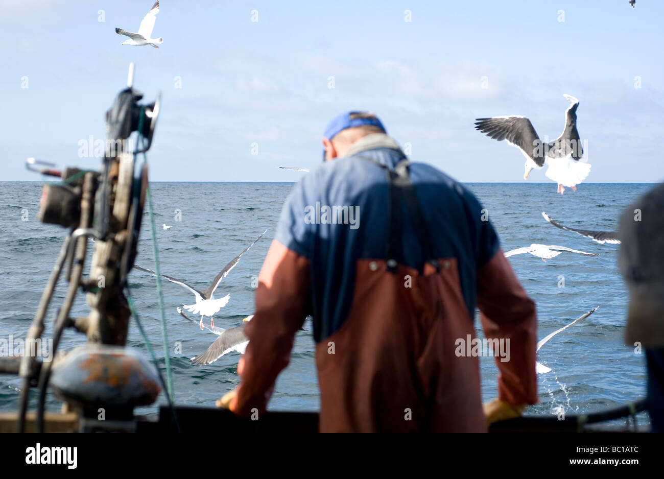 crayfish fishing with pots, Sweden Stock Photo - Alamy