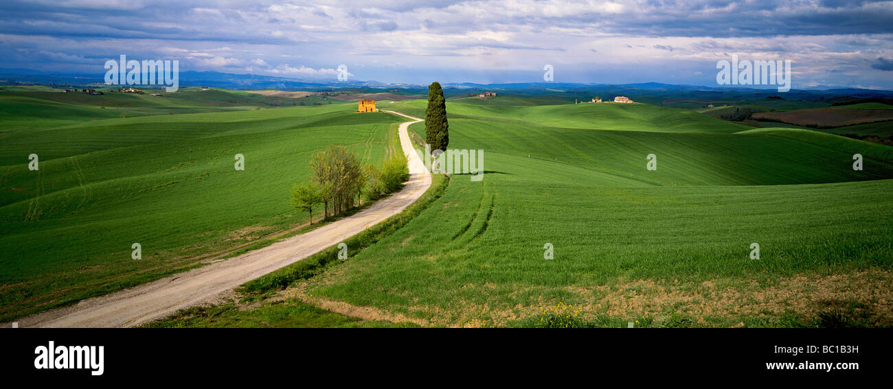 Sienne province hi-res stock photography and images - Alamy