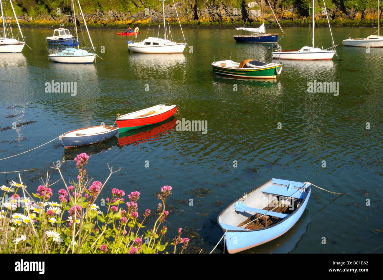 Solva yacht hi-res stock photography and images - Alamy