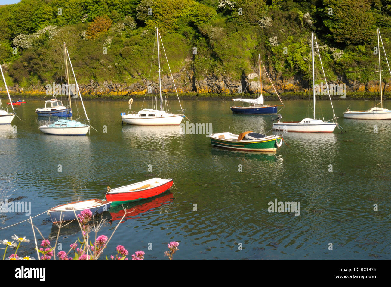 Boats in Solva Harbour Stock Photo - Alamy