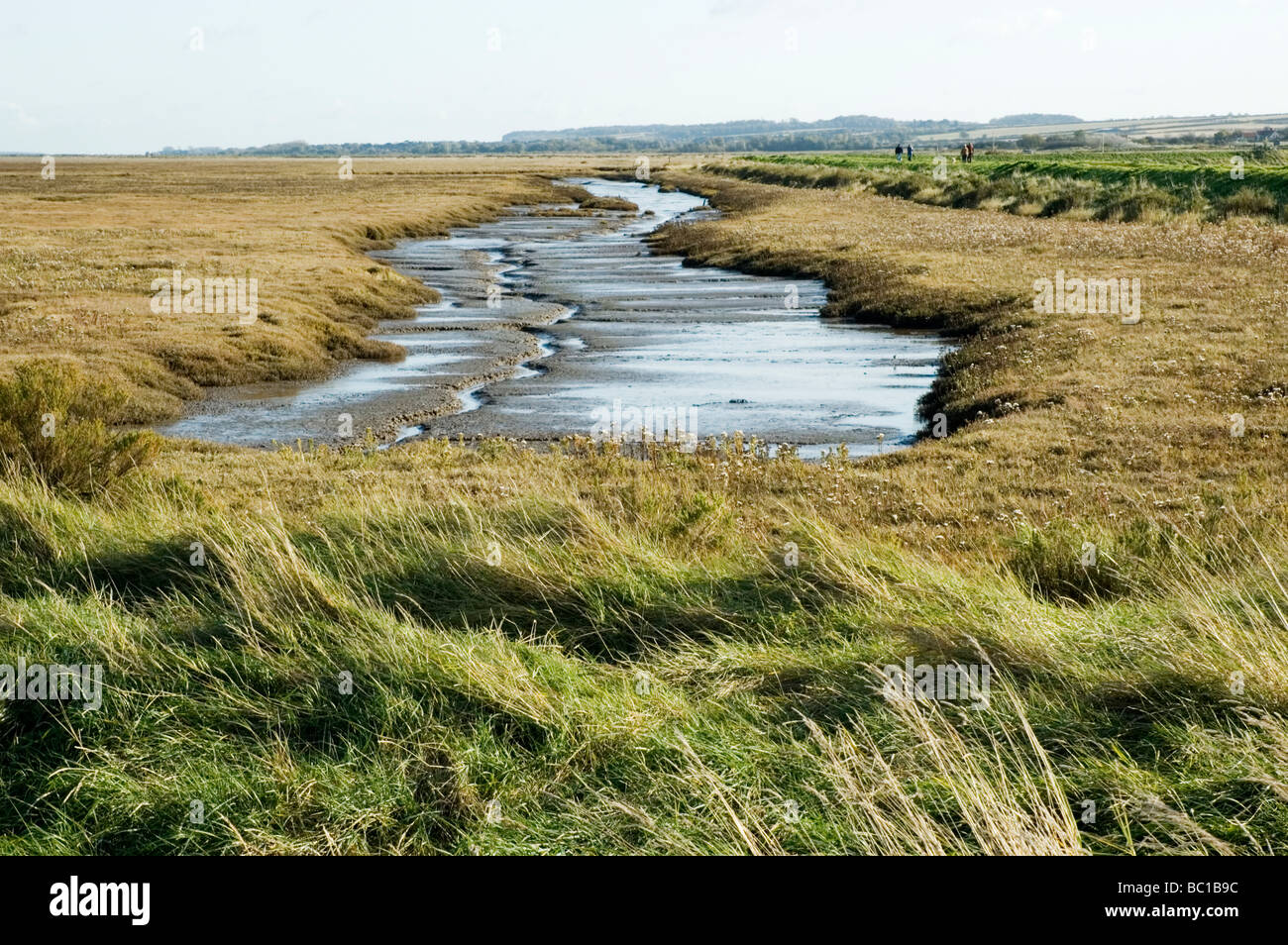 A creek on the North Norfolk saltmarshes, England Stock Photo - Alamy