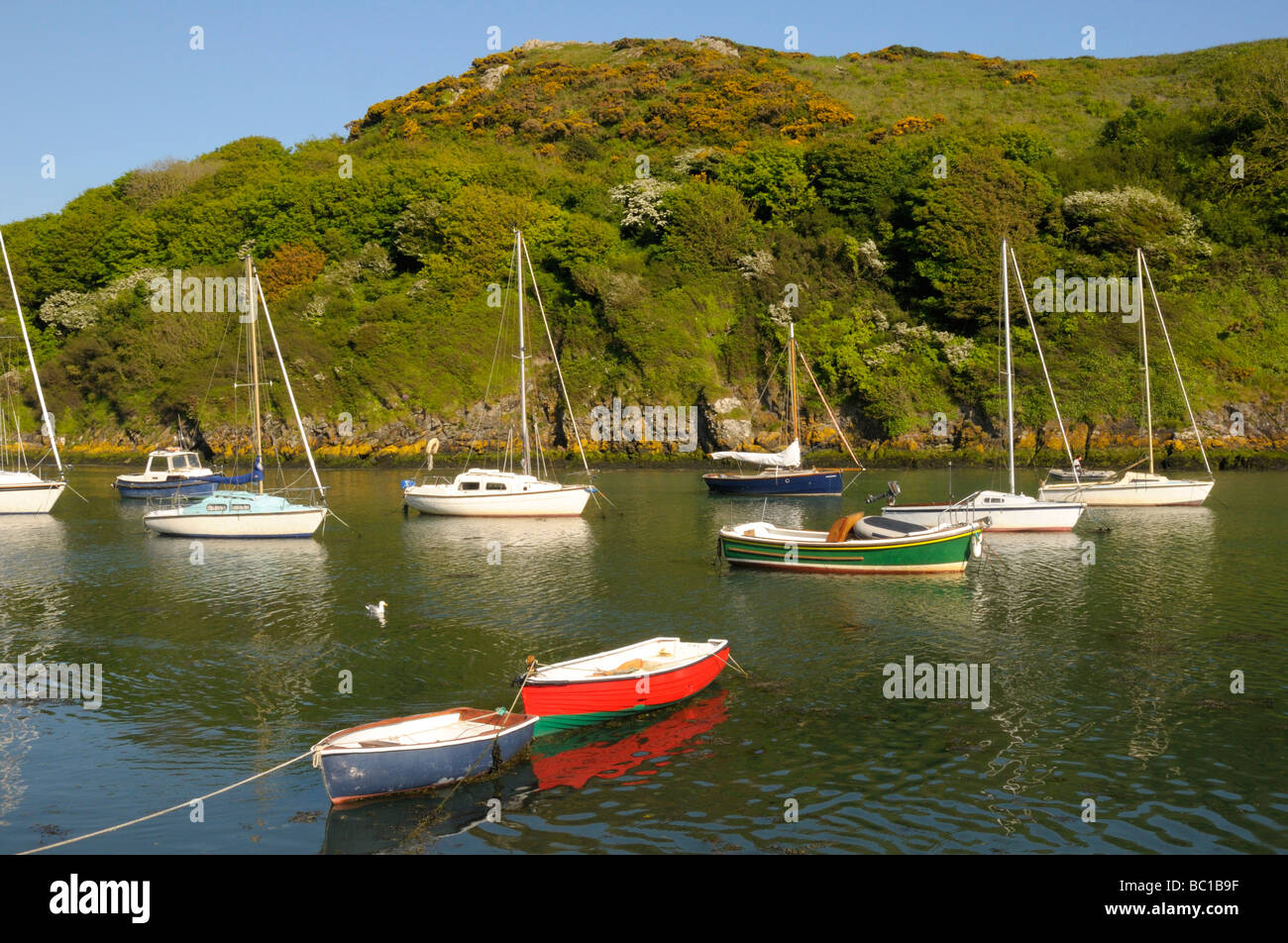 Boats in Solva Harbour Stock Photo - Alamy