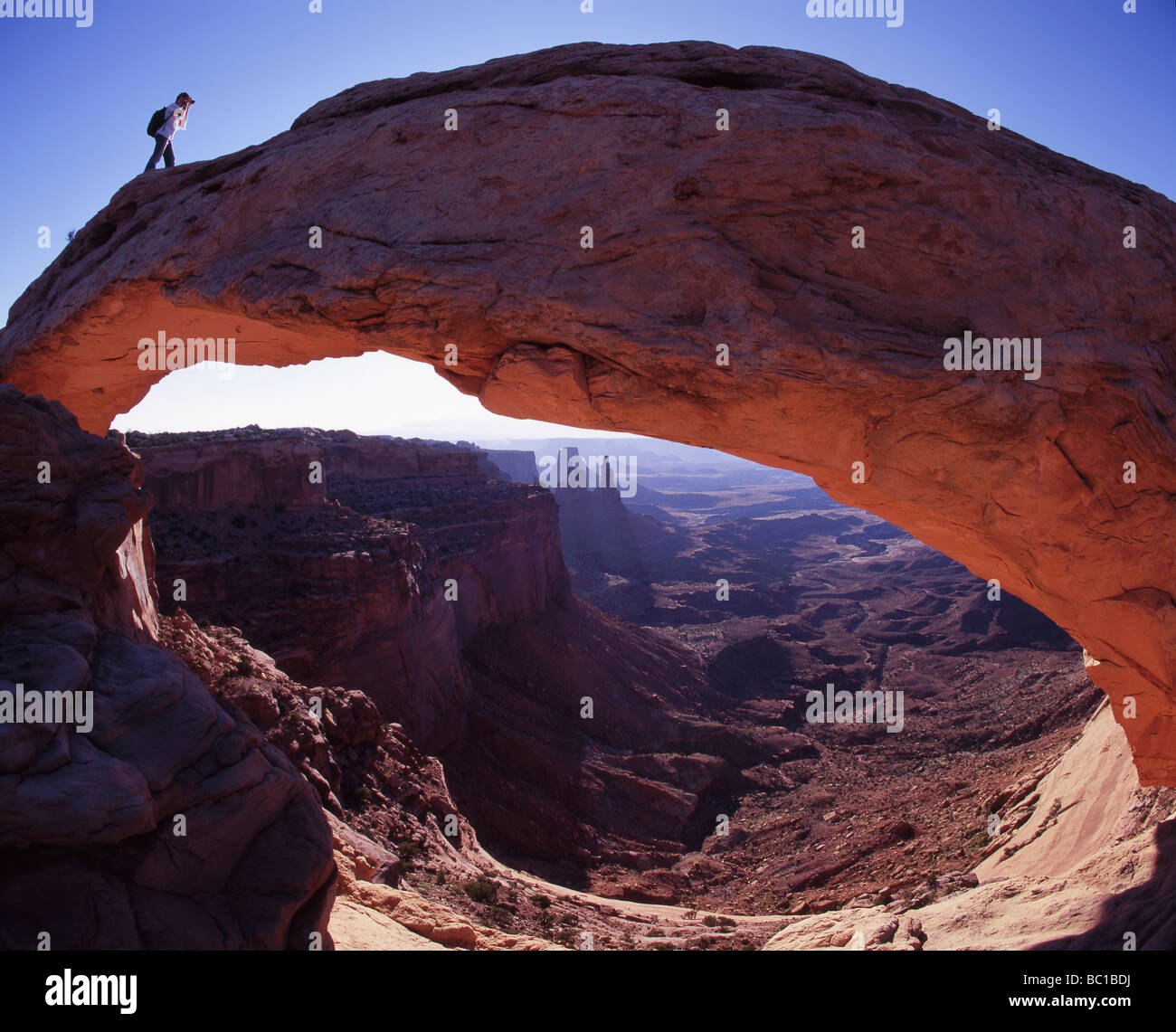 Mesa arch hi-res stock photography and images - Alamy