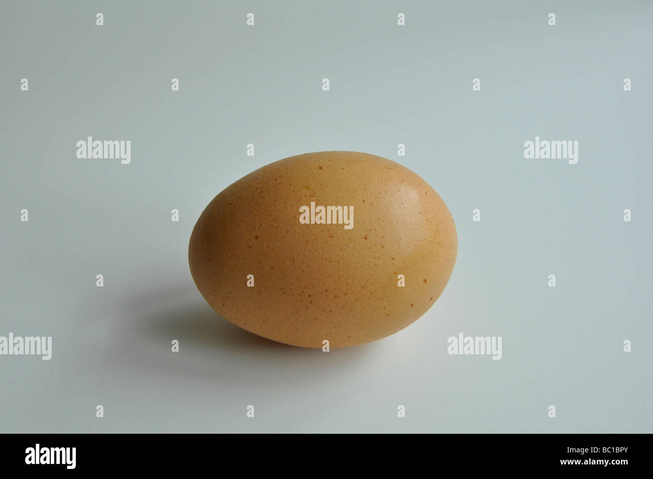 White eggs one brown egg hi-res stock photography and images - Alamy