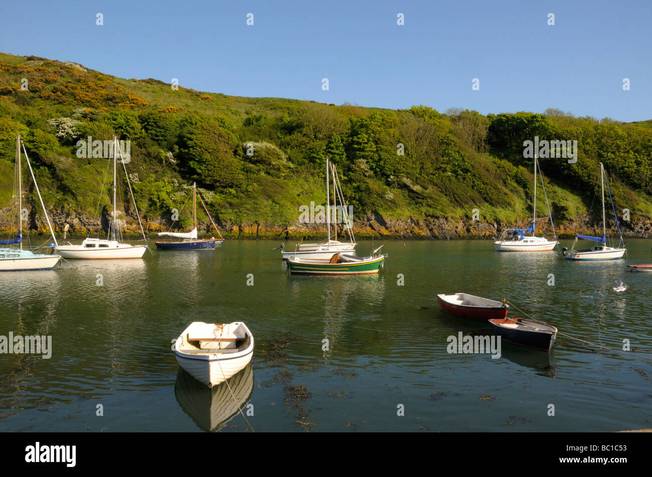 Solva quay hi-res stock photography and images - Alamy