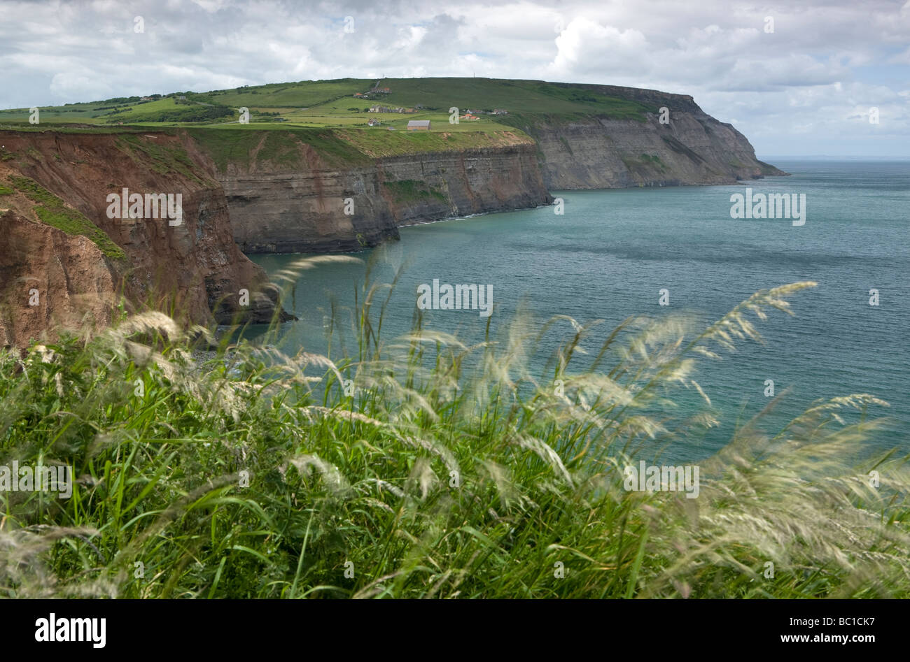 Sea cliffs at Boulby on the North Yorkshire Coast Stock Photo - Alamy