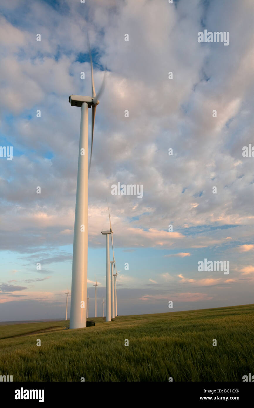 Wind power hi-res stock photography and images - Alamy
