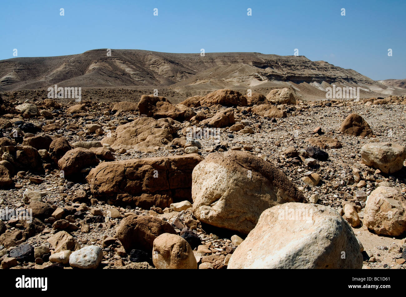 Desert landscape ,Israel Stock Photo - Alamy