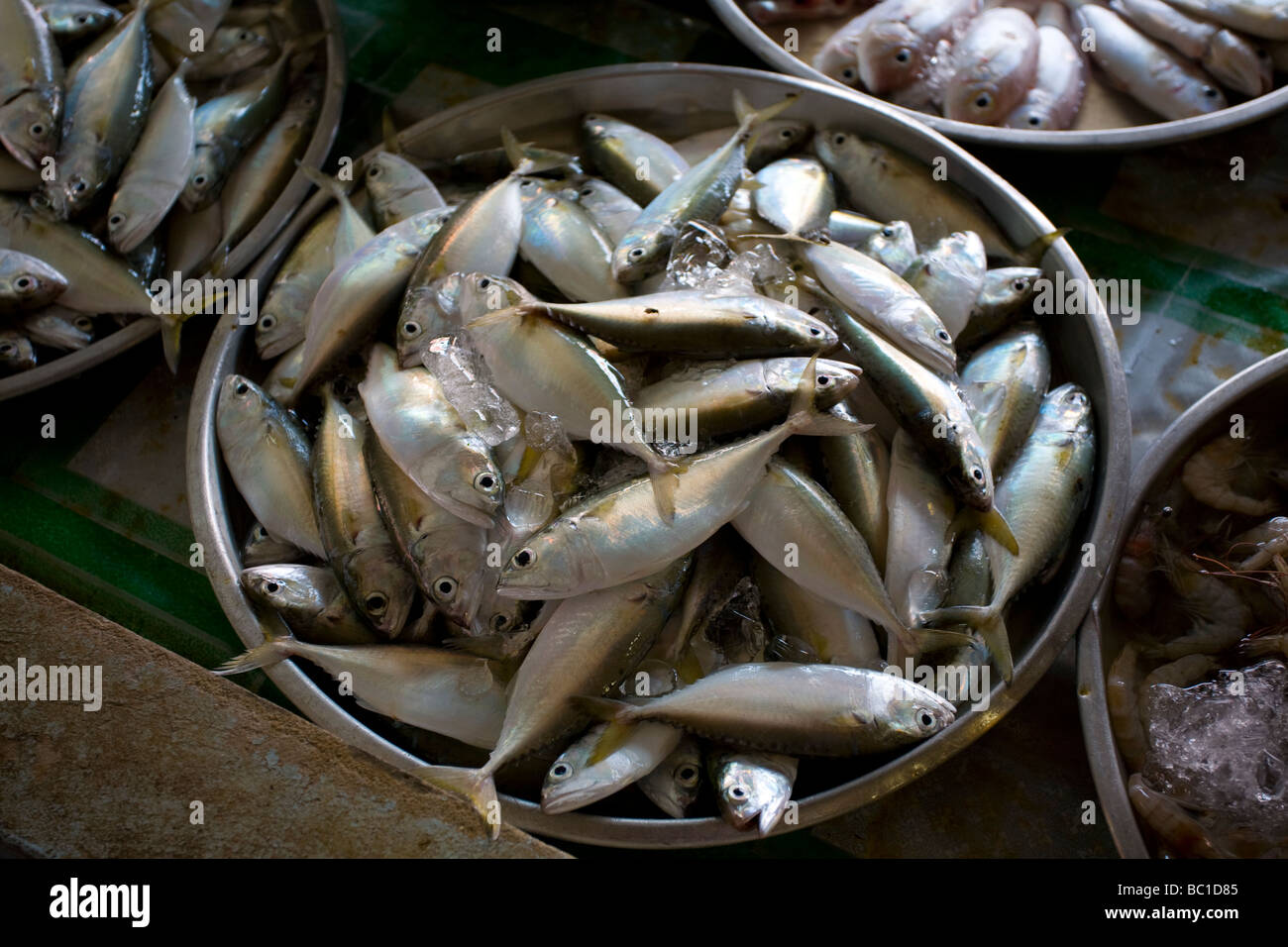 Small fish for sale hi-res stock photography and images - Alamy