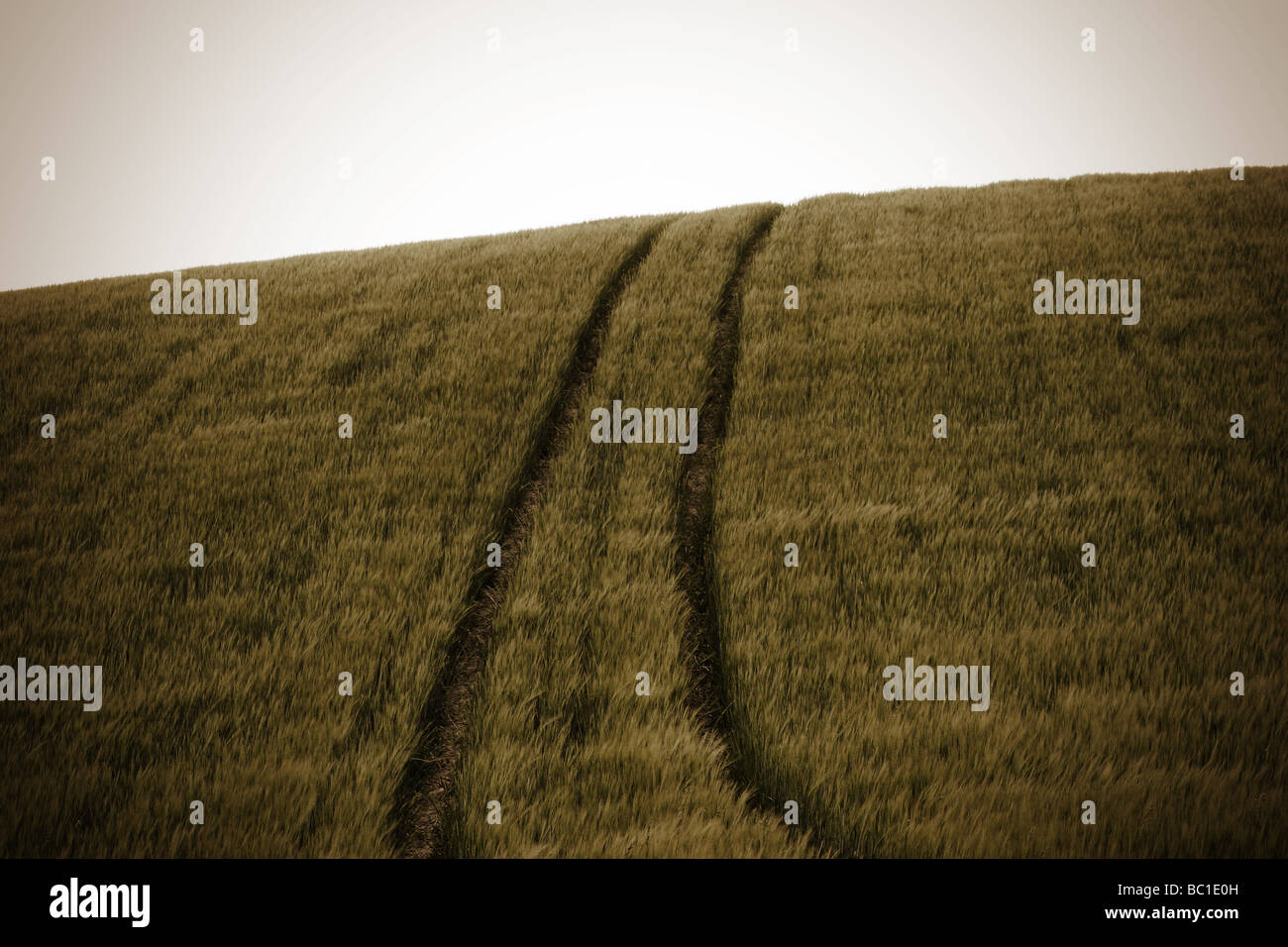 Tracks across field Stock Photo - Alamy