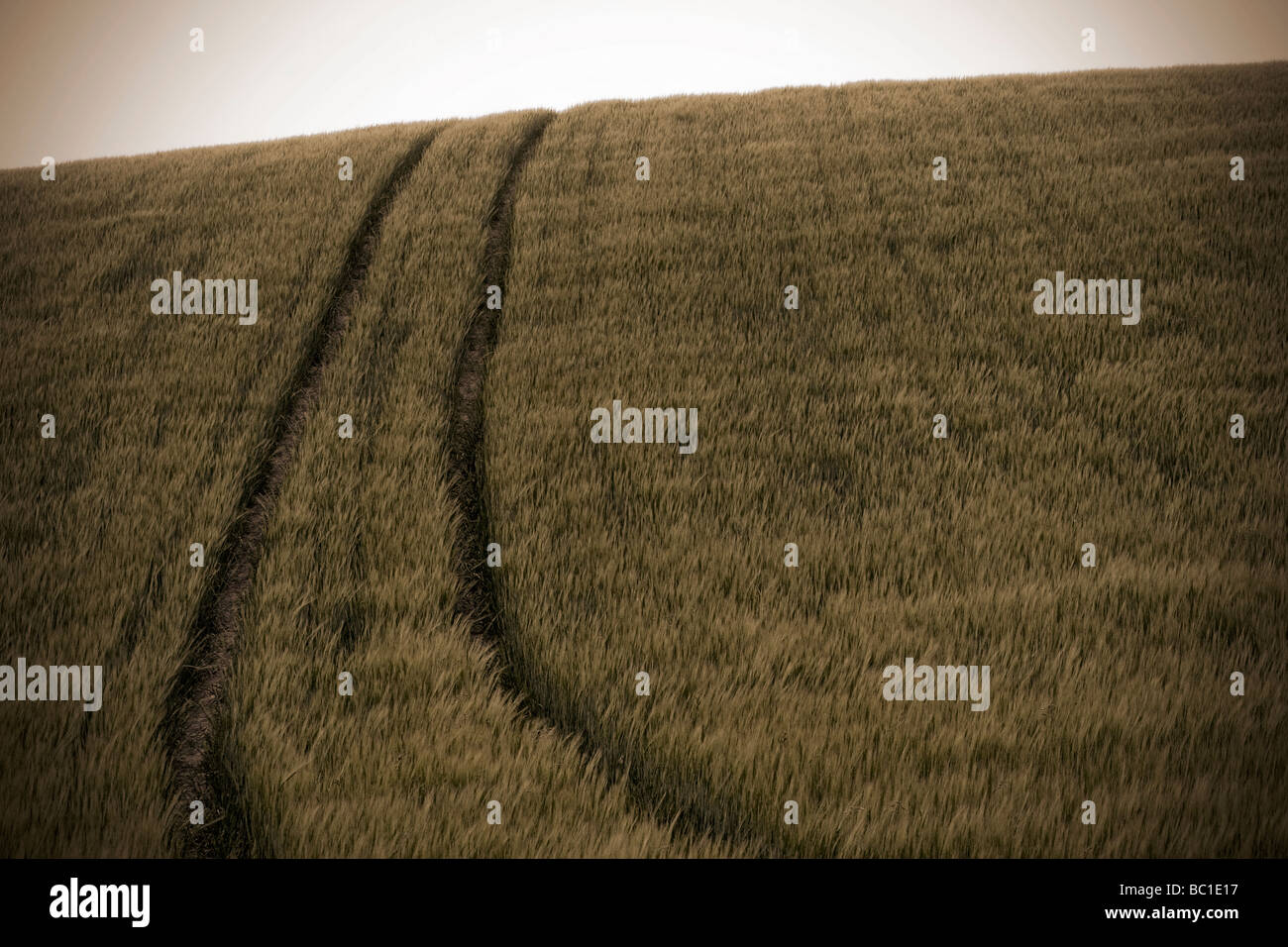 Tracks across field Stock Photo - Alamy