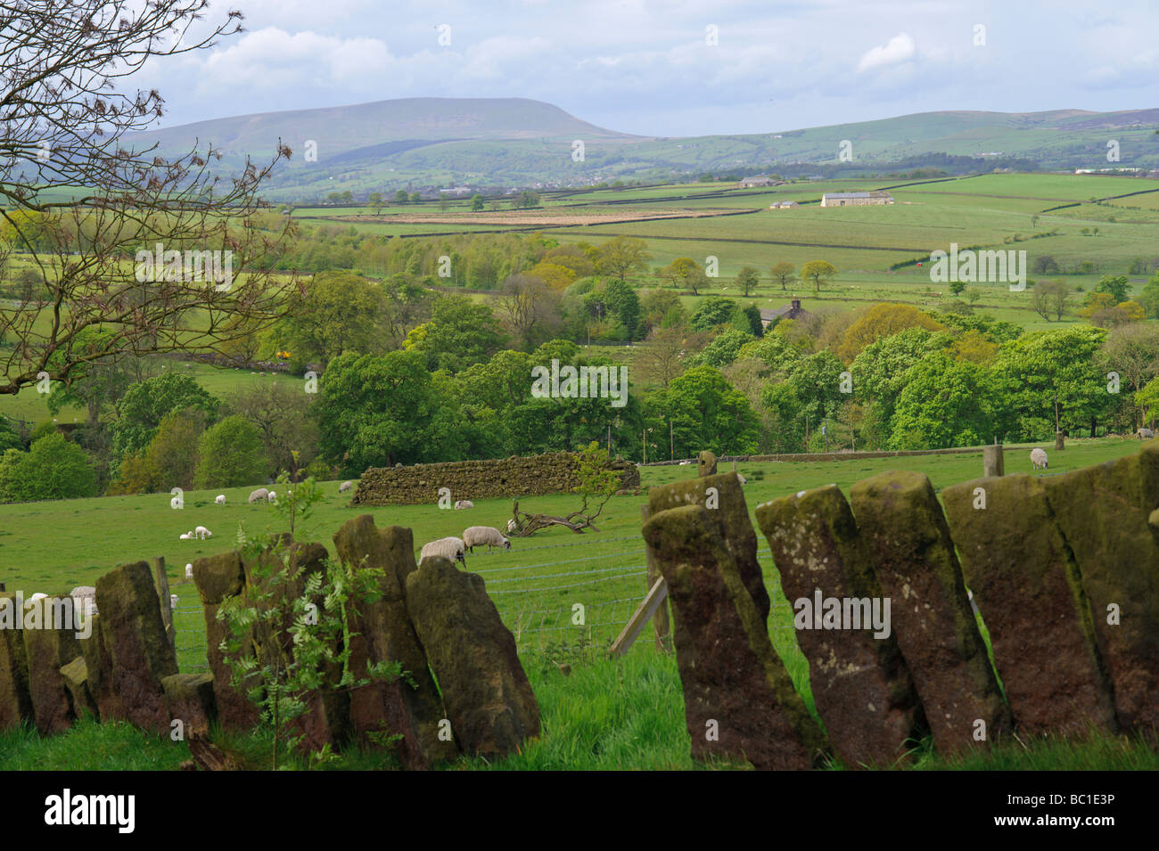 Stone fence hi-res stock photography and images - Alamy