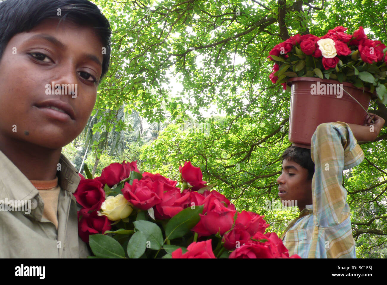 Dhaka bangladesh flower hi-res stock photography and images - Alamy