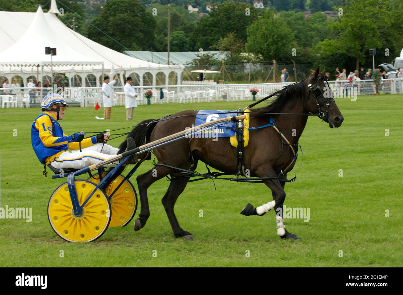Horse and Harness racing Stock Photo - Alamy