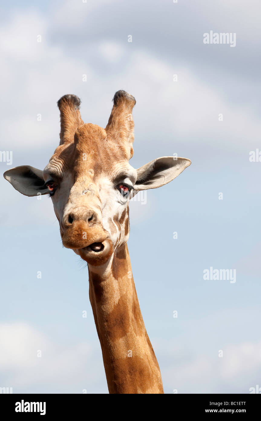 Contemptuous Scornful