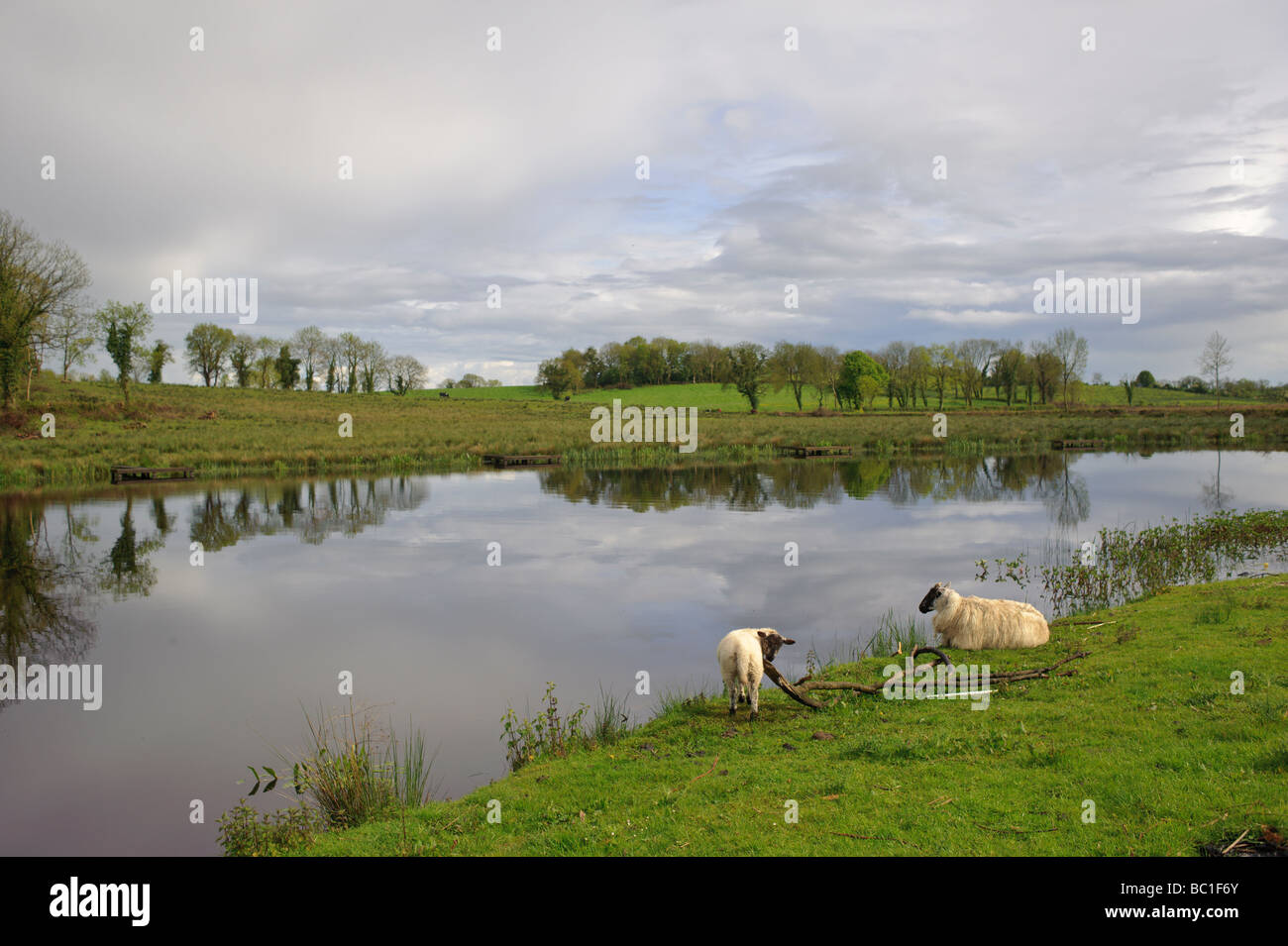 upper lough erne river erne county fermanagh enniskillen Stock Photo ...